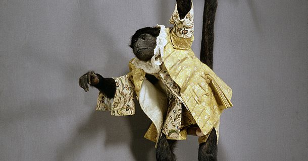 Präparat eines schwarzhaarigen Klammeraffen - Bayerisches Nationalmuseum