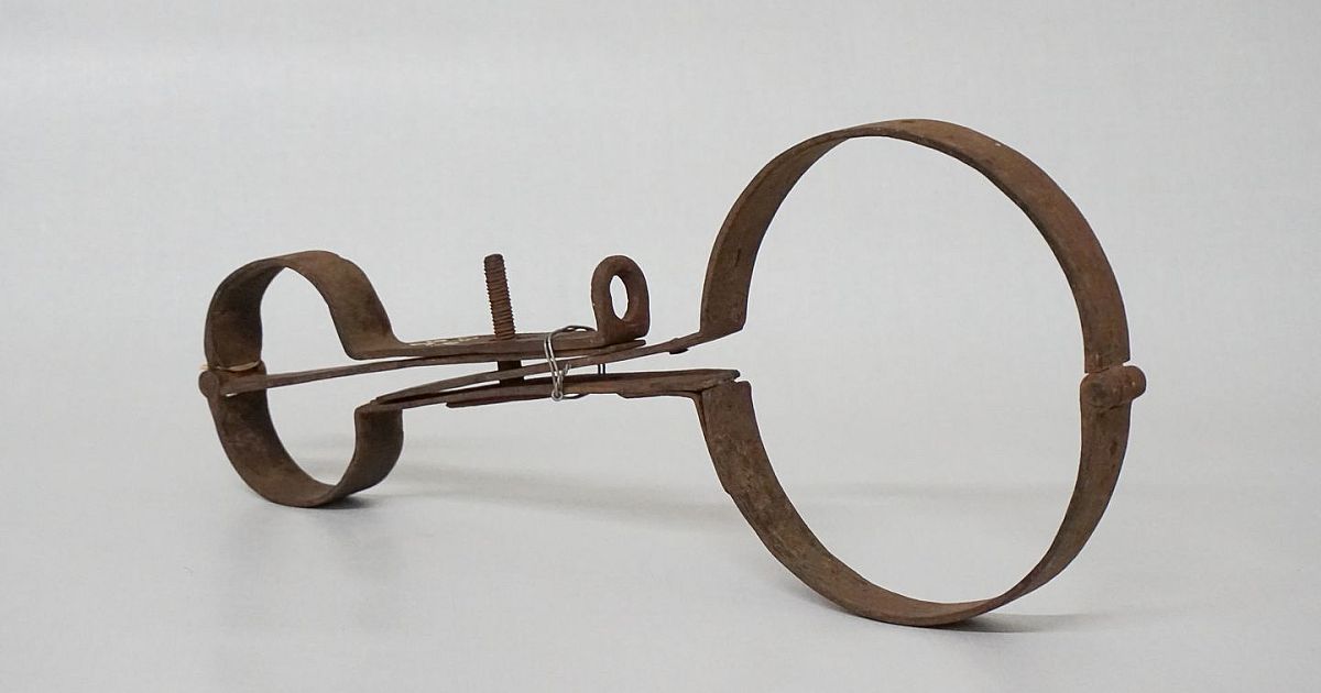 Halsgeige - Bayerisches Nationalmuseum