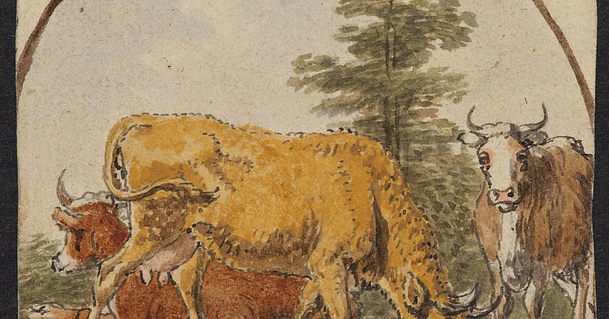 Aquarell: Weidende Kühe - Bayerisches Nationalmuseum