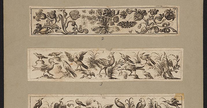 Kupferstich: Zwölf verschiedene Vögel - Bayerisches Nationalmuseum