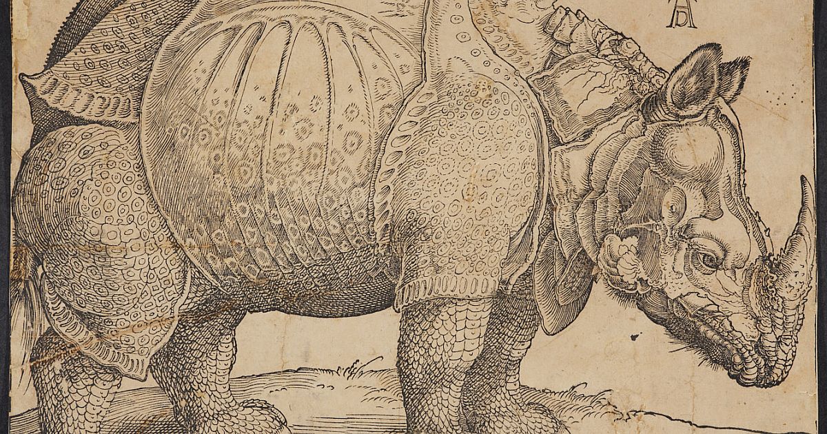 Holzschnitt: Rhinocerus - Bayerisches Nationalmuseum