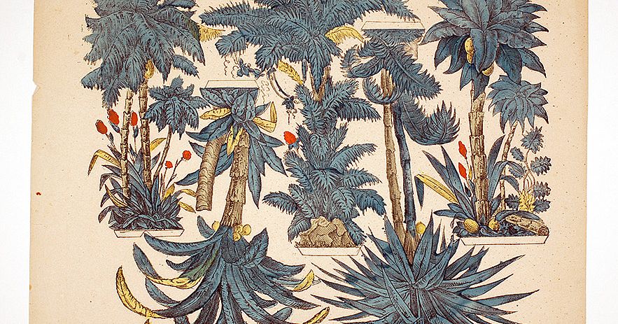 Neuruppiner Bilderbogen Nr. 3390: Krippel-Bilder - Bayerisches ...