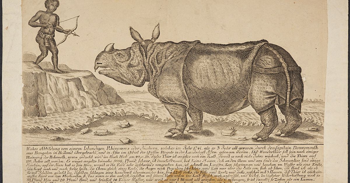 Kupferstich: Rhinozeros vor Landschaft - Bayerisches Nationalmuseum
