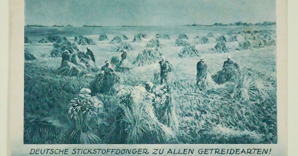 Bildpostkarte: Werbung für Stickstoffdünger - Bayerisches Nationalmuseum